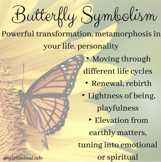 The Symbolism of the Butterfly as a Spirit Guide – Witches Of The Craft®