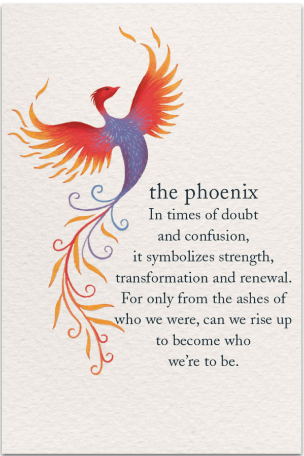 Divination Journal – Witches Of The Craft®