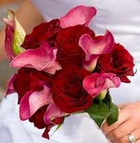 Flower Meaning, Symbolize, and Spiritual Meaning – Witches Of The Craft®