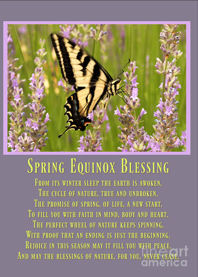 Blessing on This Beautiful, Sunny Ostara/Spring Equinox – Witches Of ...