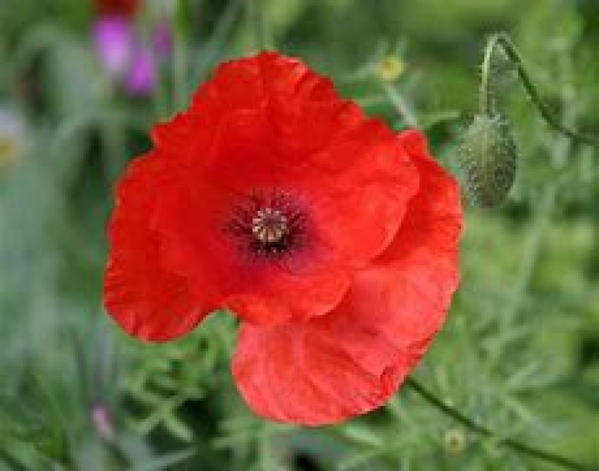 10 “Mythological” Deities Of Love And Lust – Witches Of The Craft®