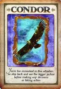 Divination Journal – Witches Of The Craft®