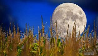 Some of the Witchcraft/Magickal Correspondence and a Spell for August’s ...