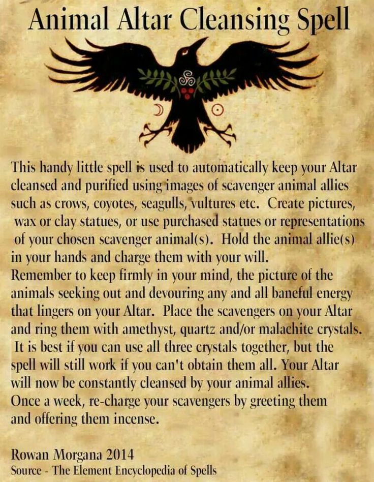 Animal Spells – Witches Of The Craft®