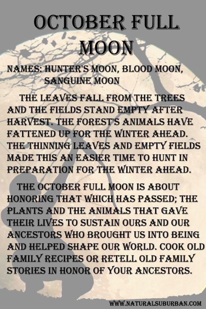 Spell for Today – OCTOBER FULL MOON MEANING | HOW TO CELEBRATE THE ...