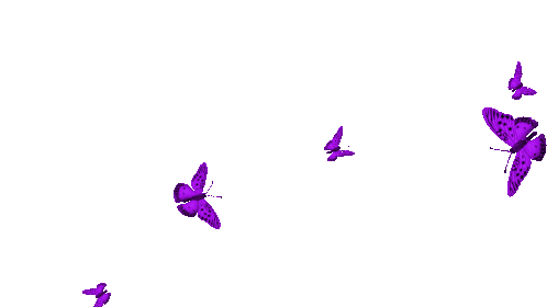 January 3, 2025 Daily Horoscope – Witches Of The Craft®